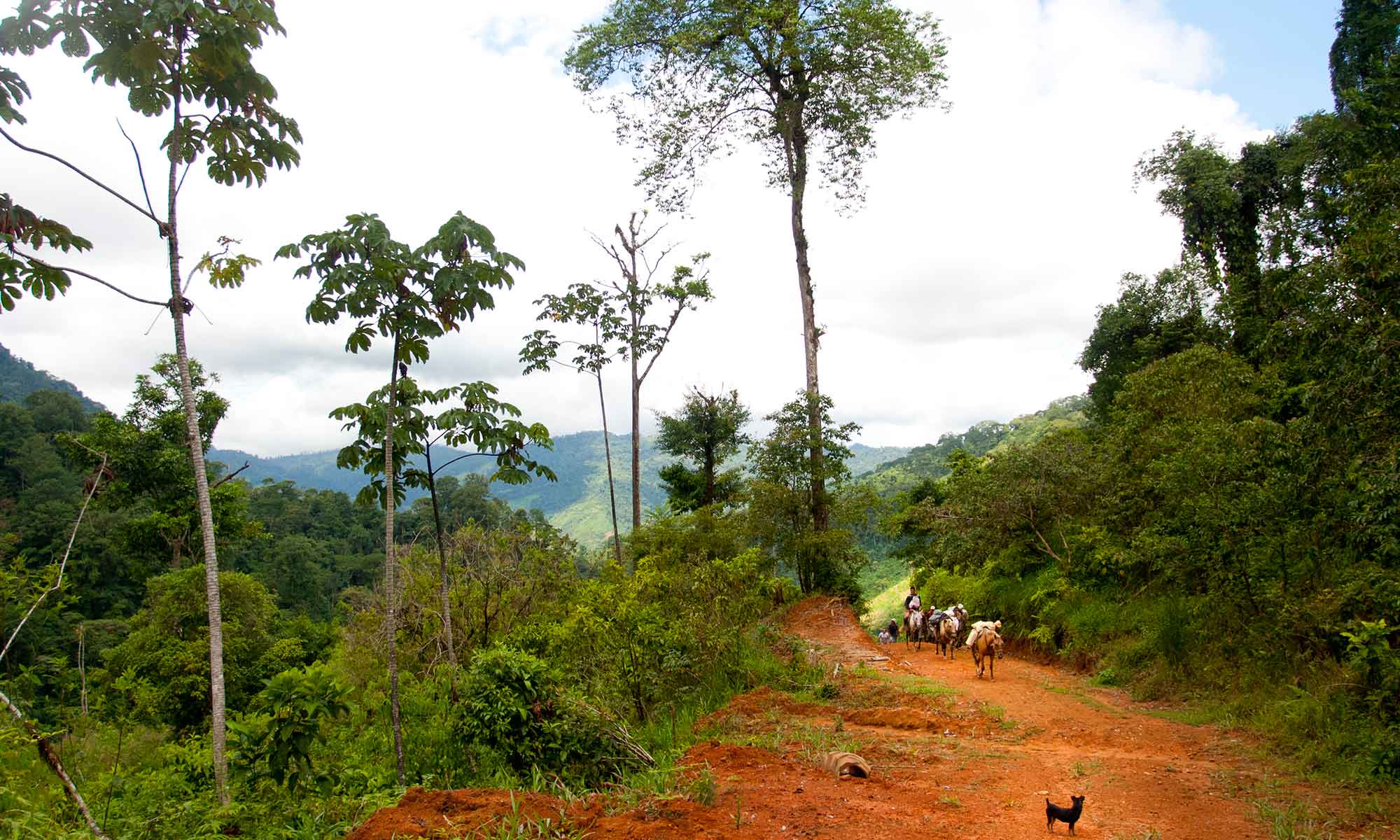 Remote Rain Forest Homestay | Autentico Adventures